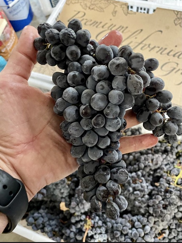 Winemaker Interview: Jerry Pompa | wpawinepirate