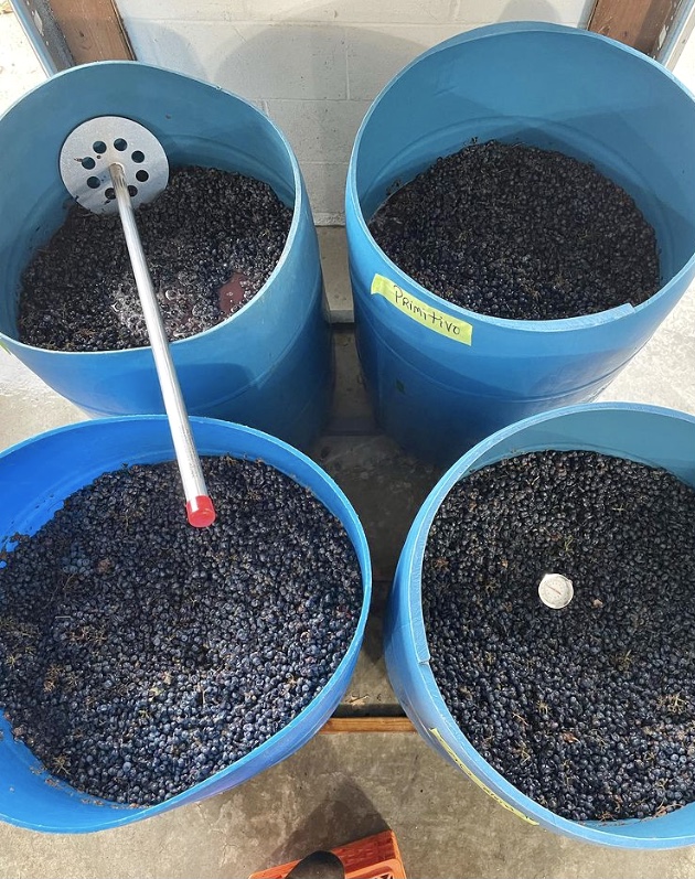 Winemaker Interview: Jerry Pompa | wpawinepirate